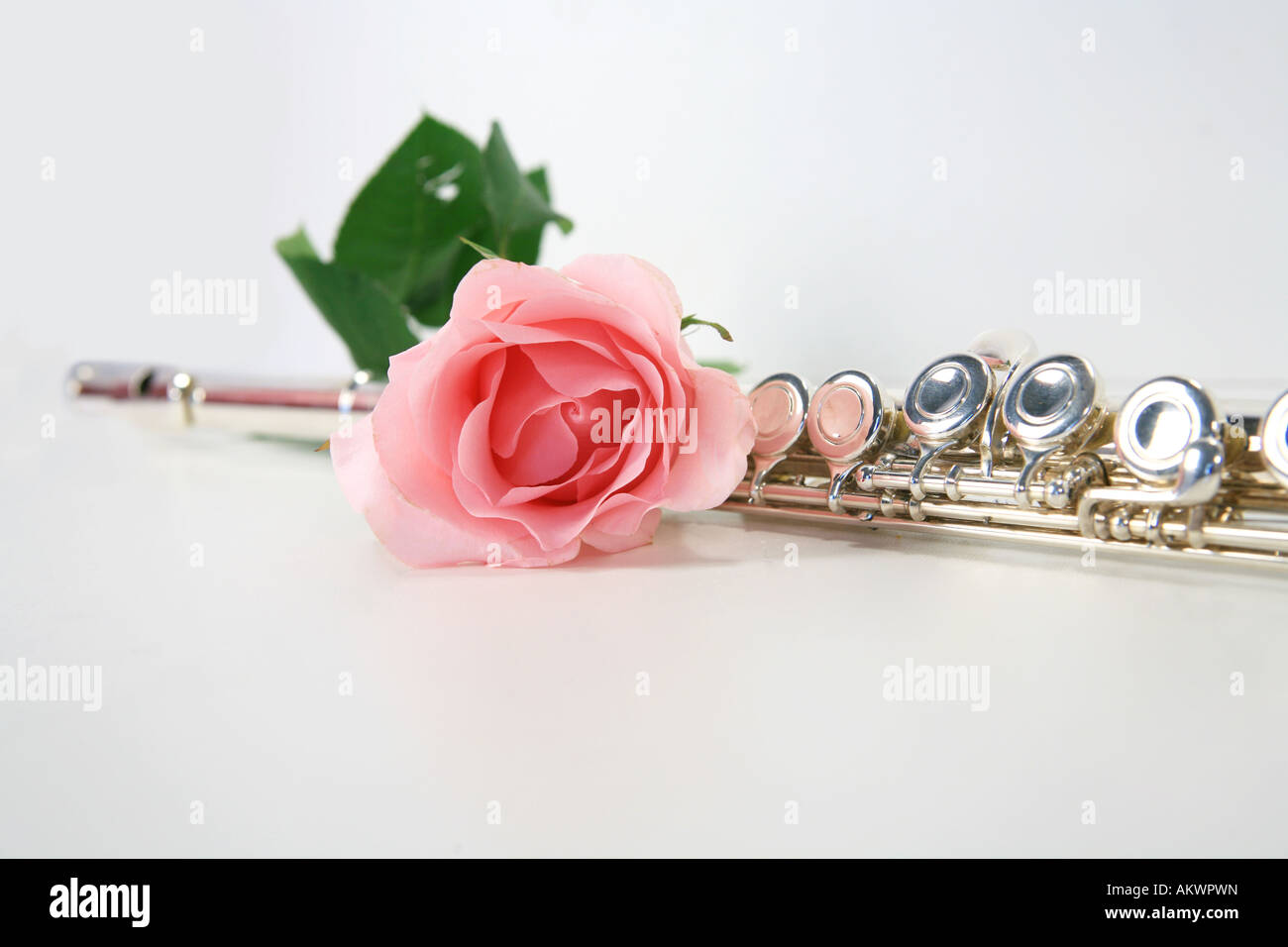 Flute With Rose
