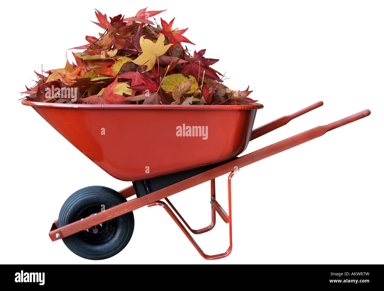 Pile of leaves in a wheel barrow cut out on white background Stock ...