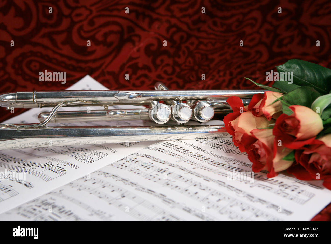 Silver trumpet with bouquet of roses on red velvet background Stock ...