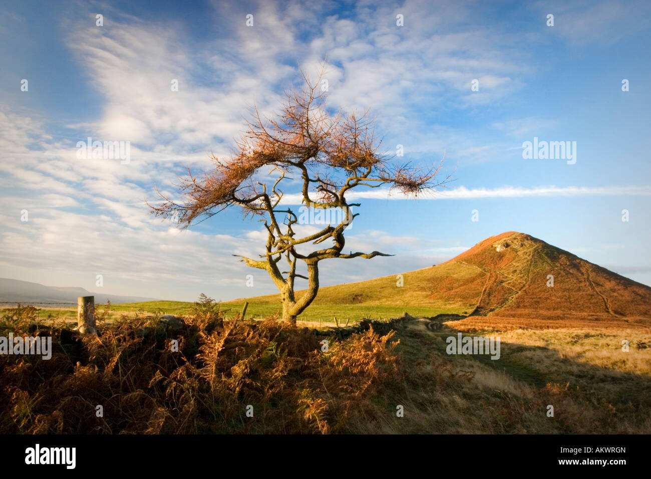 Roseberry Topping, North Yorkshire, Landscape Stock Photo - Alamy