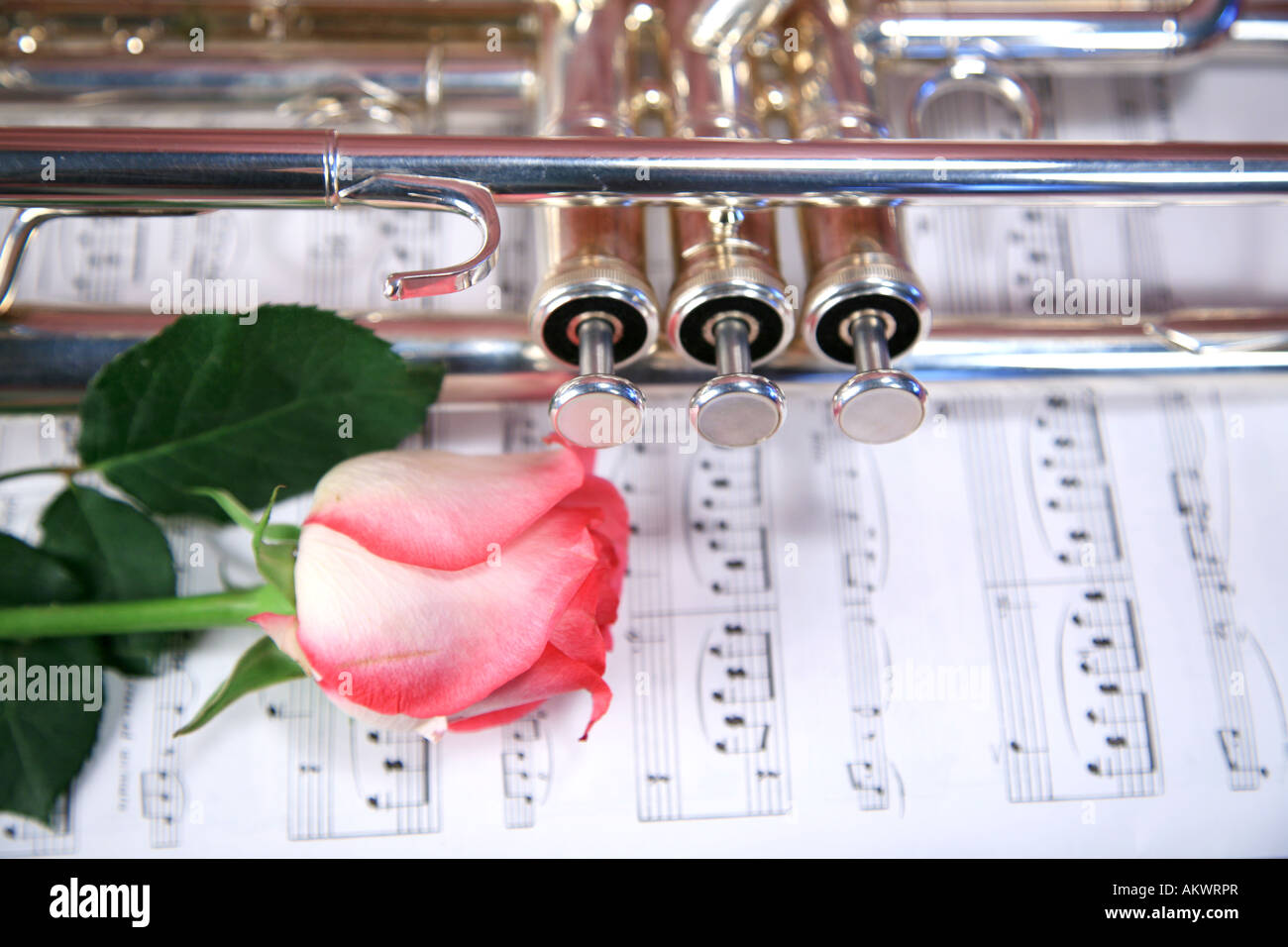Silver trumpet long hi-res stock photography and images - Alamy