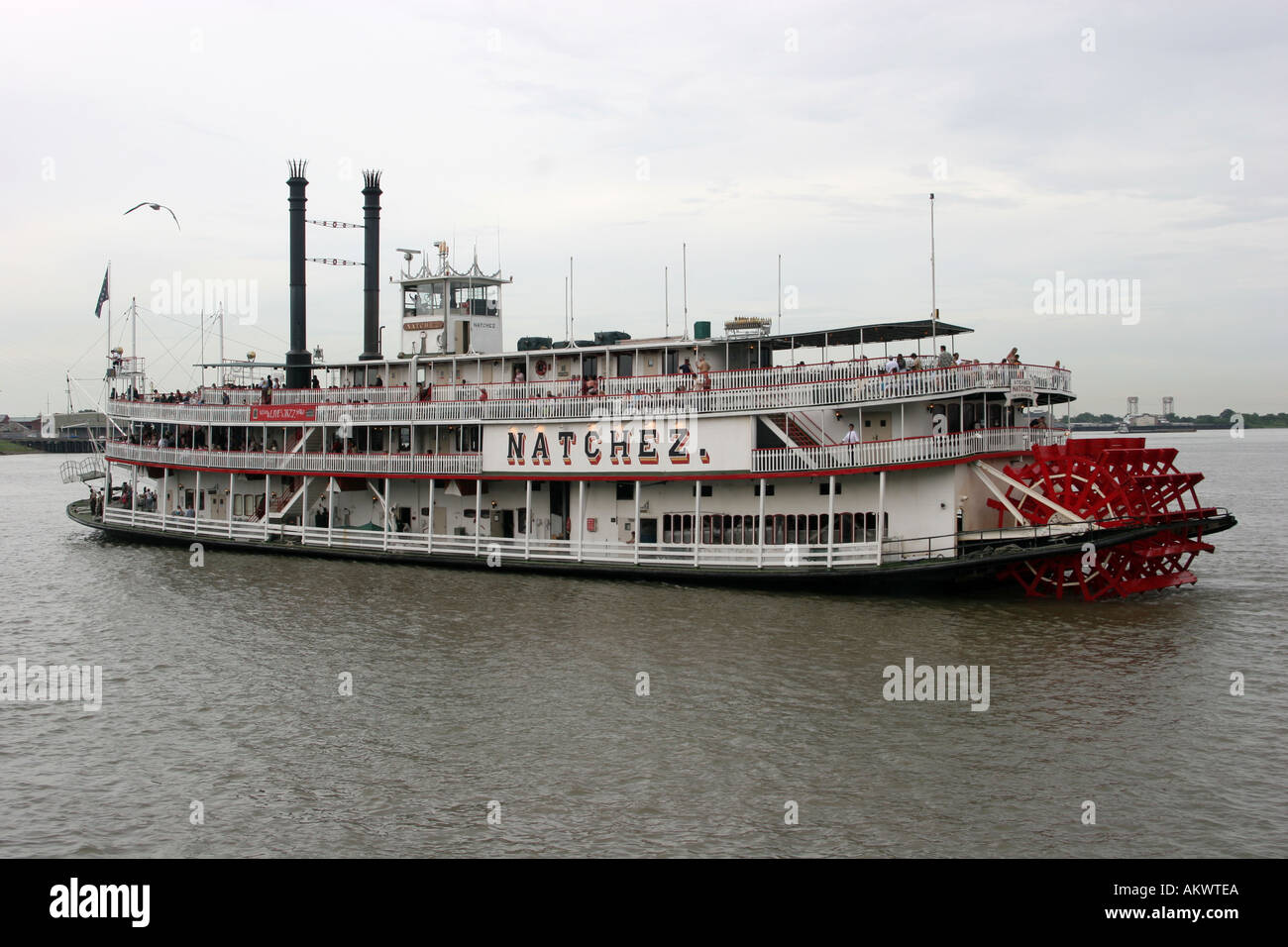 Steamboat Natchez on the Mississippi River New Orleans Louisiana USA ...