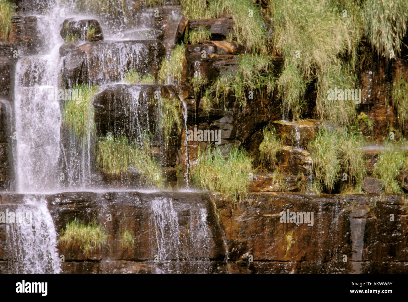Waterfall kimberley king cascade hi-res stock photography and images ...