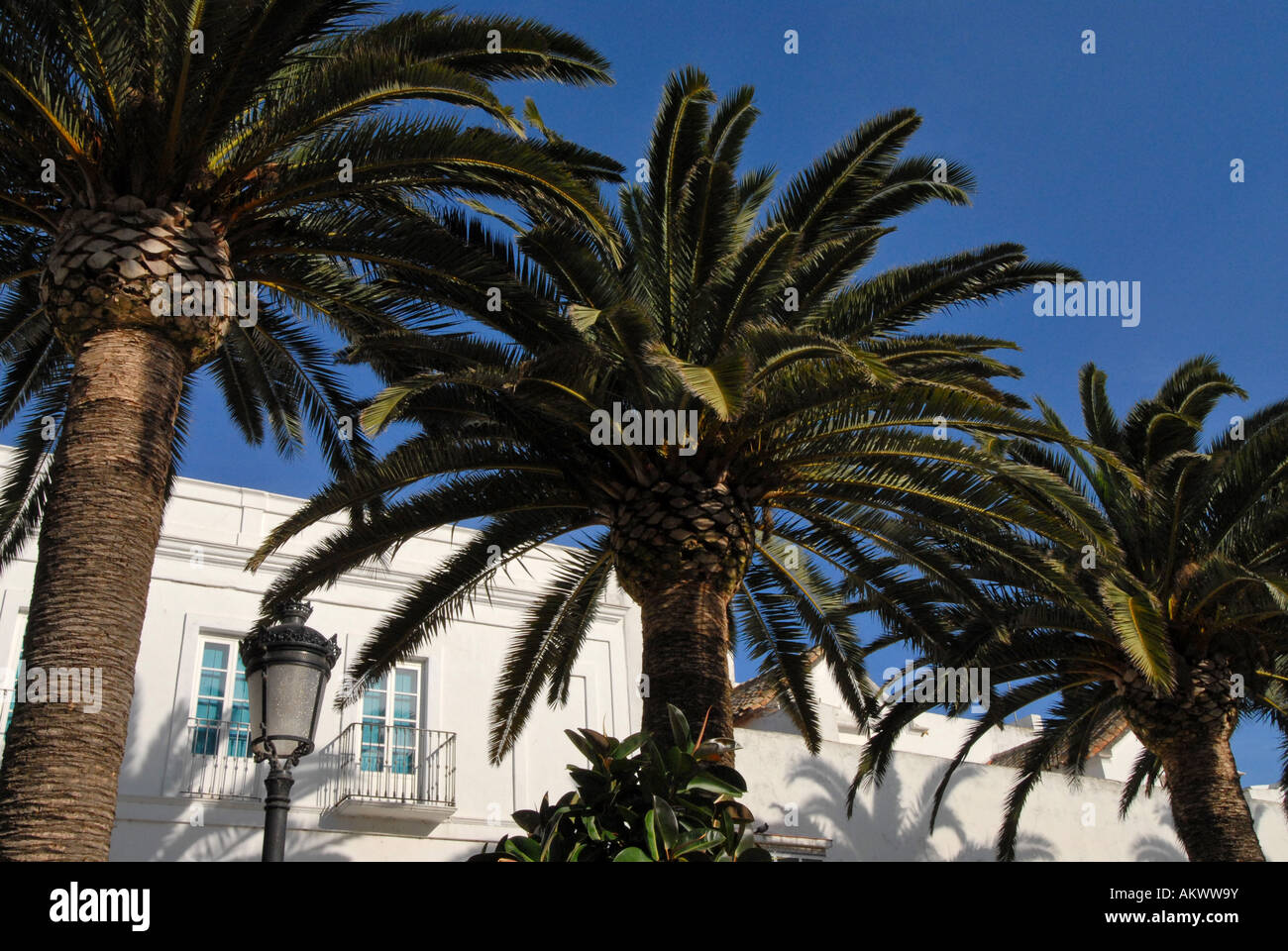 Paseo de la Alameda Tarifa Costa de la Luz Andalusia Spain Stock Photo ...