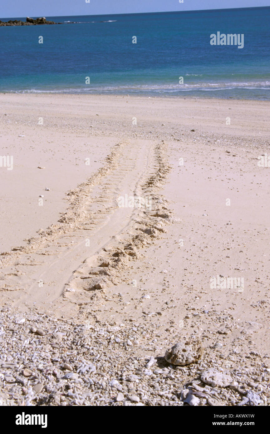 Careening bay australia hi-res stock photography and images - Alamy