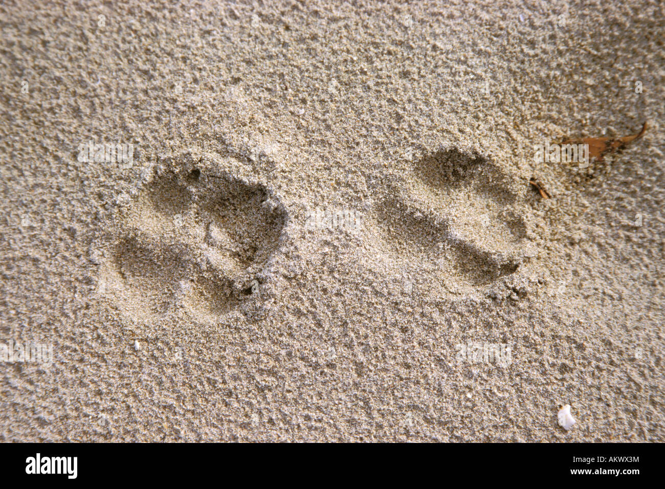 Careening bay hi-res stock photography and images - Alamy