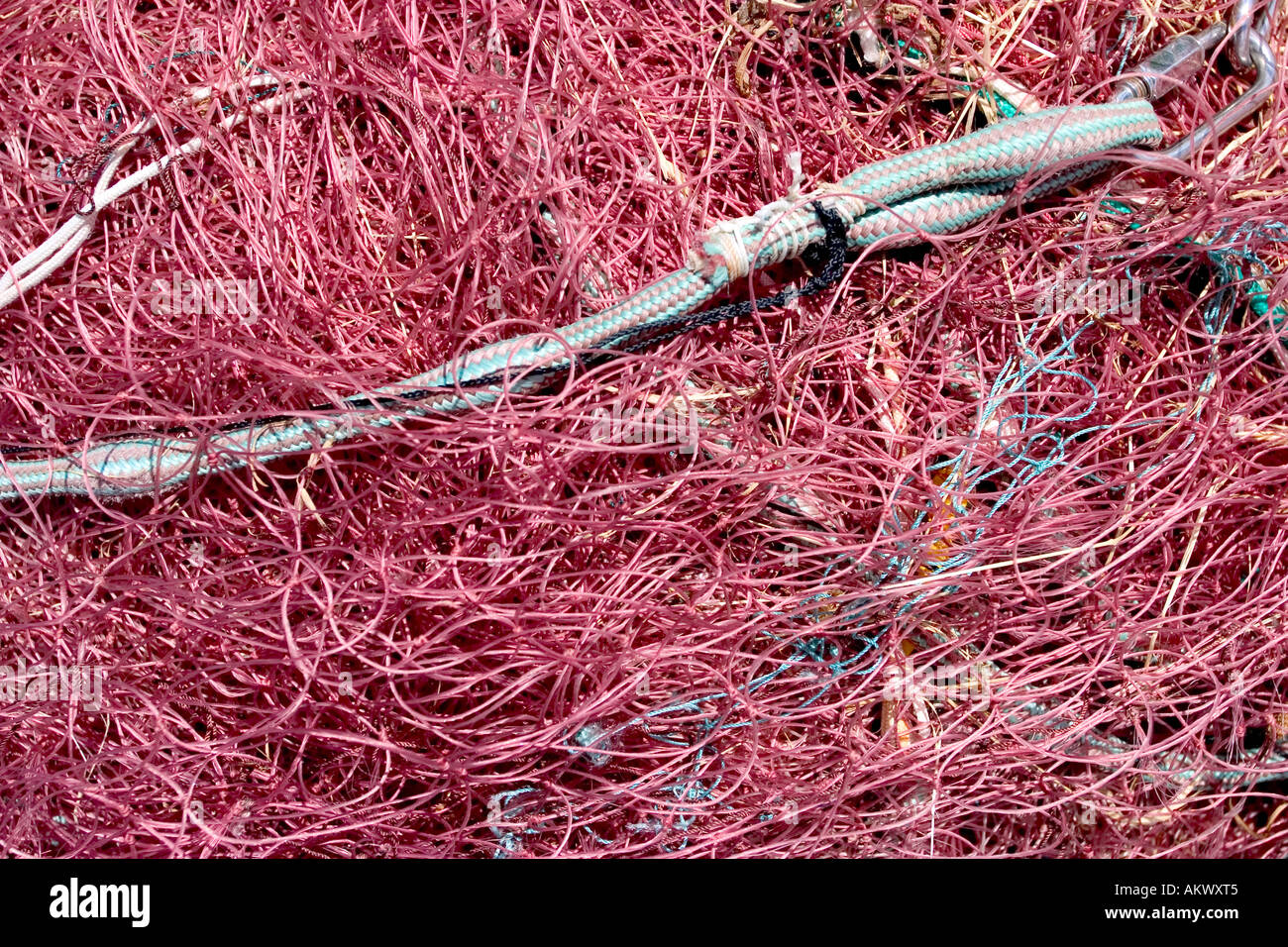 Fishnet package hi-res stock photography and images - Alamy