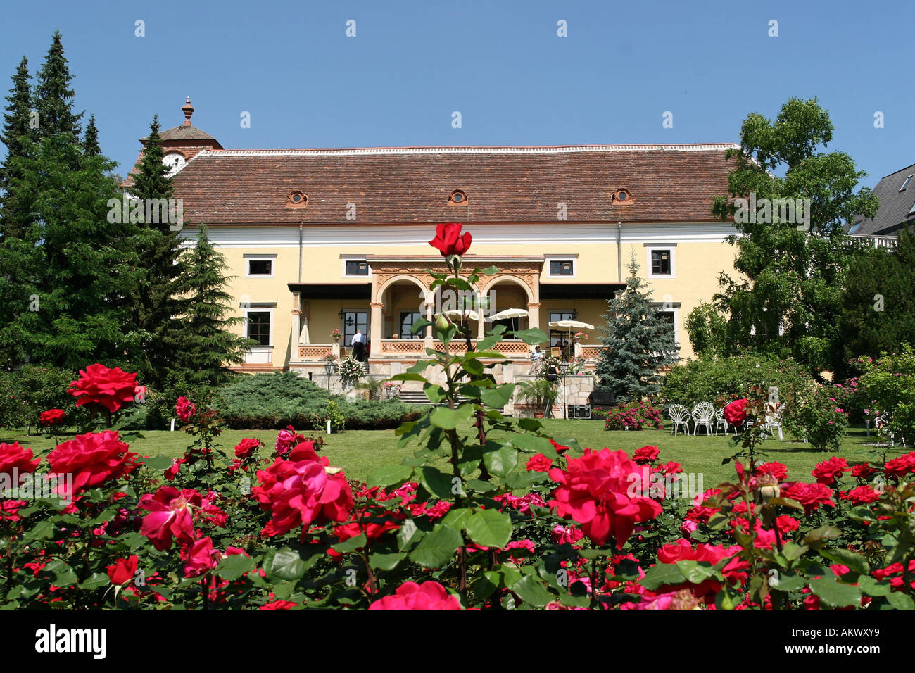 Baden rosarium hi-res stock photography and images - Alamy