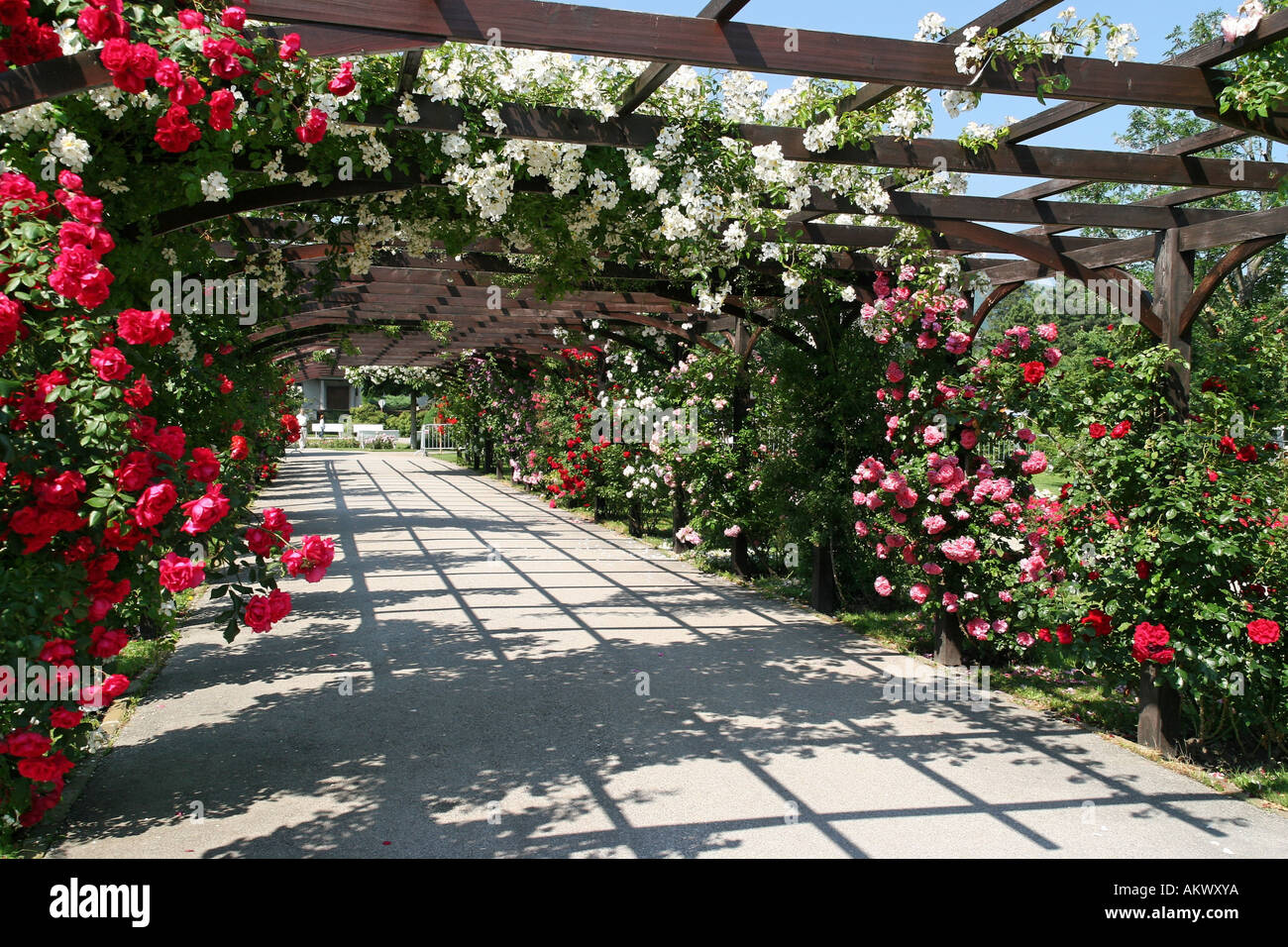 Baden doblhoffpark hi-res stock photography and images - Alamy