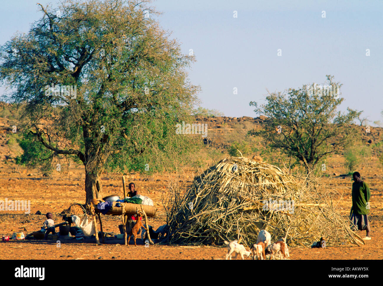 Fulani High Resolution Stock Photography and Images - Alamy