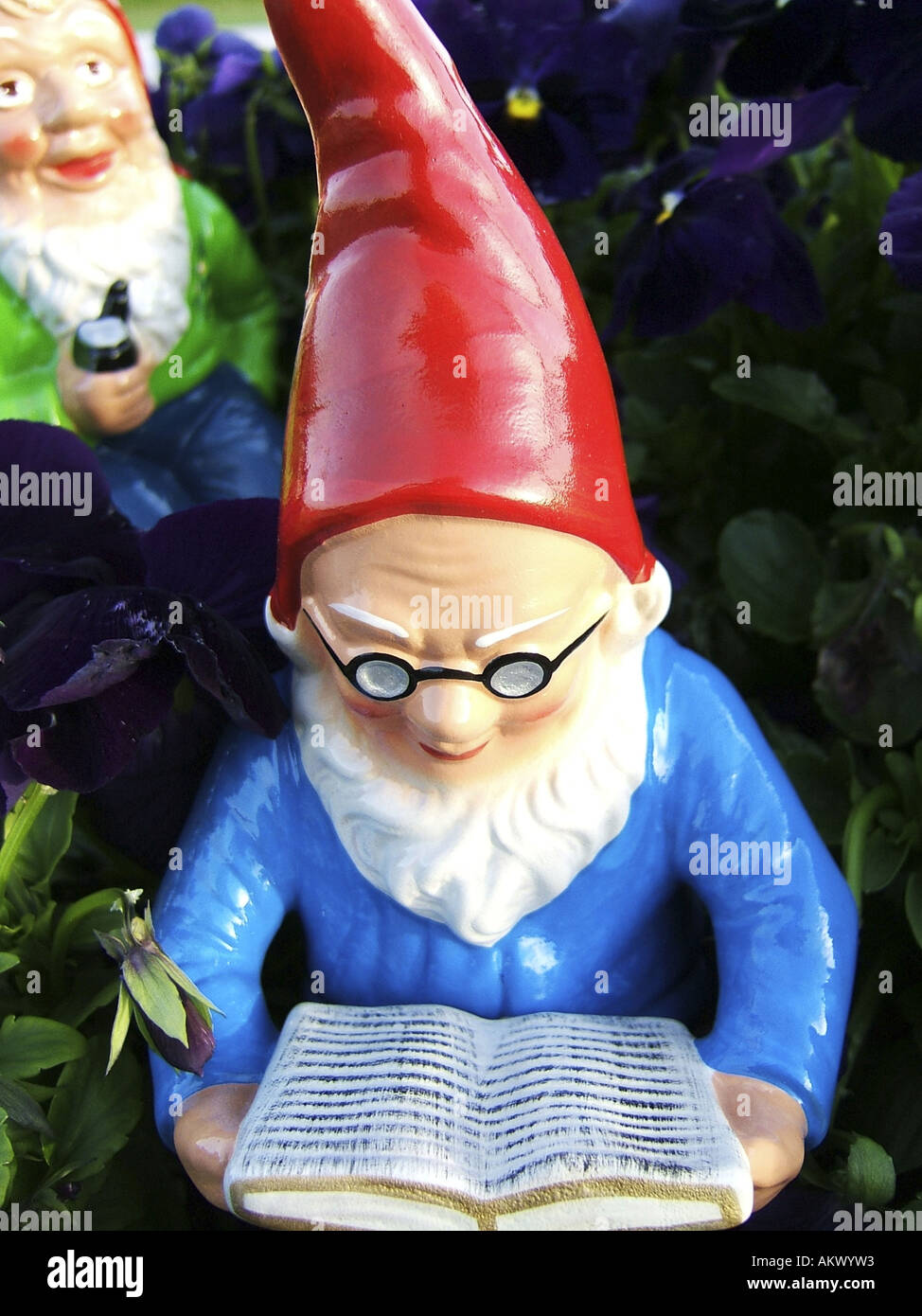 Reading garden gnome in a garden Stock Photo - Alamy