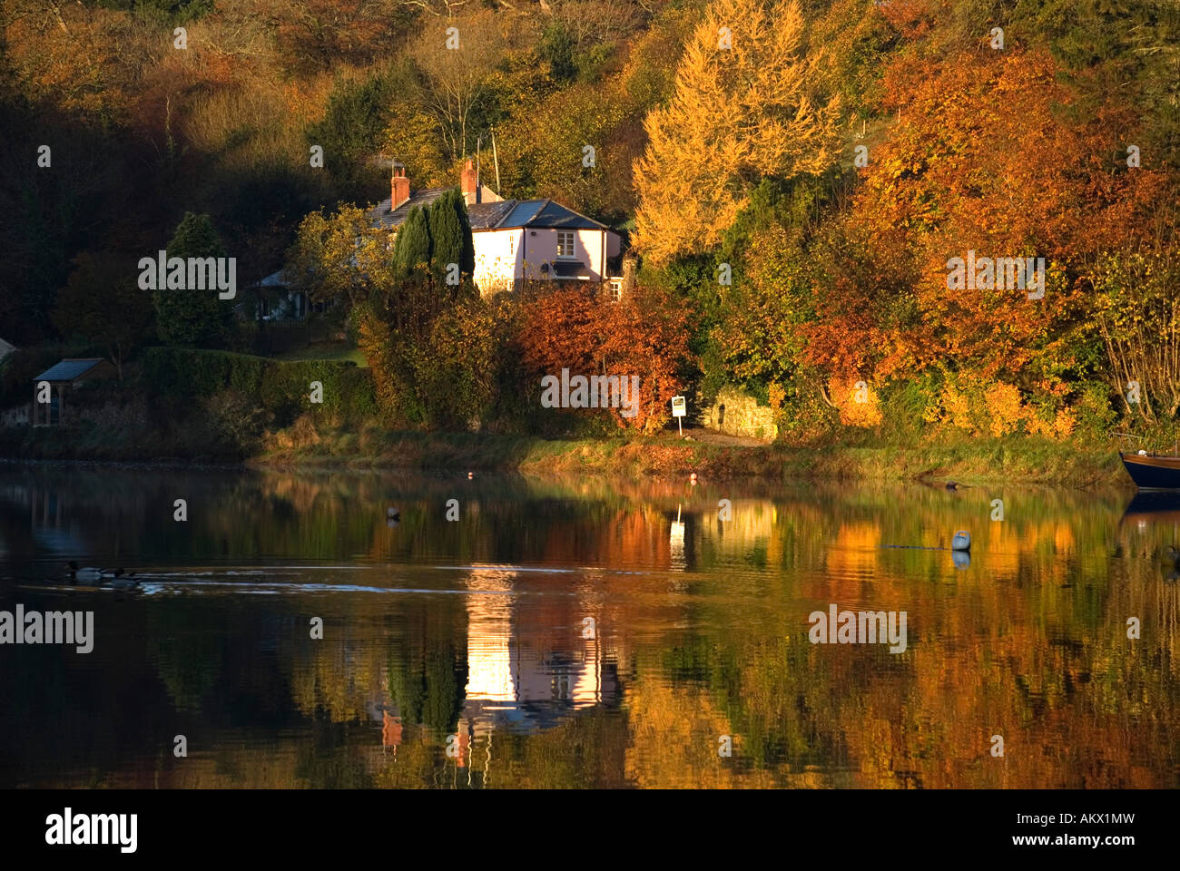 Riverside scene at Lerryn Cornwall Stock Photo - Alamy