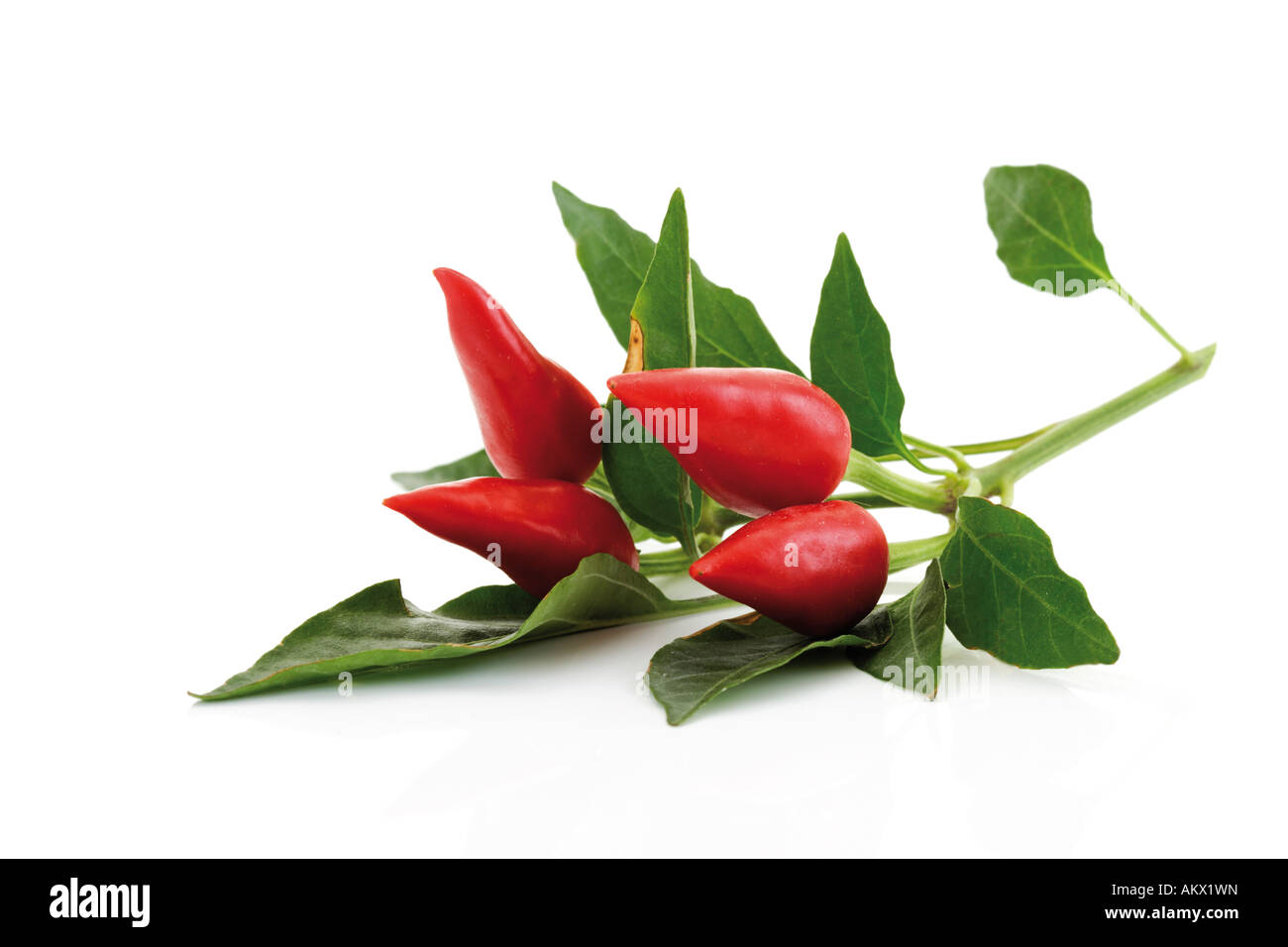 Fresh red peppers, close-up Stock Photo - Alamy