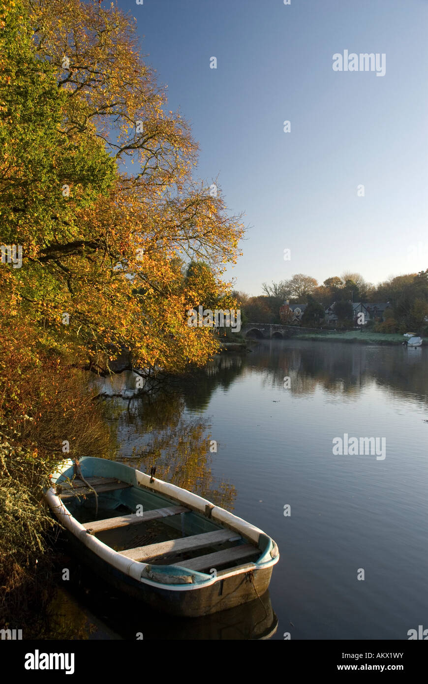 Moored rowing boat at Lerryn Stock Photo - Alamy