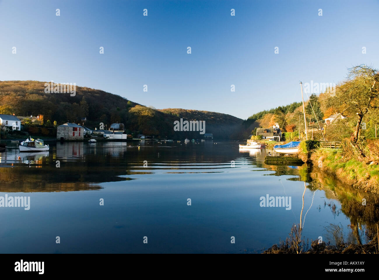 River at Lerryn Cornwall Stock Photo - Alamy