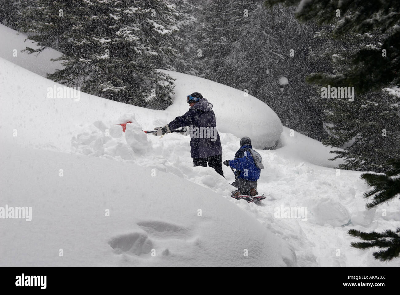 Man and woman digging a tent platform in the snow at Rocky Mountain ...