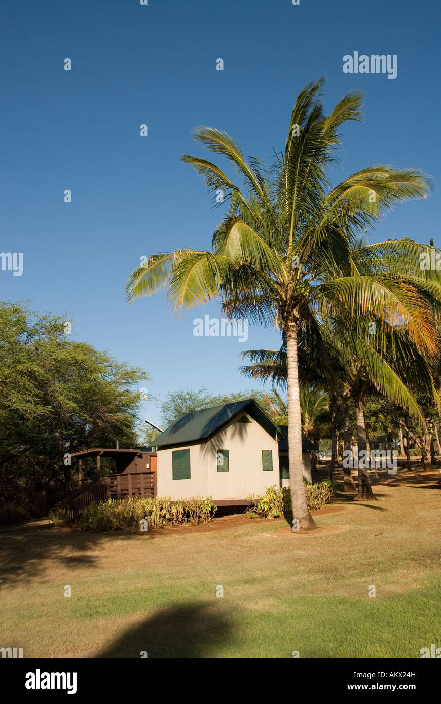 Hawaii Molokai island Pacific USA travel tourism green eco lodge ...