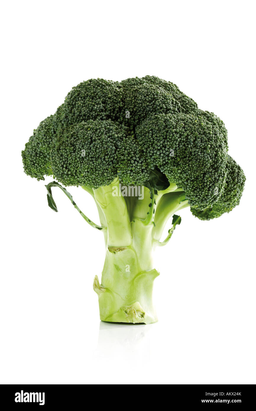 Close-up of broccoli Stock Photo - Alamy