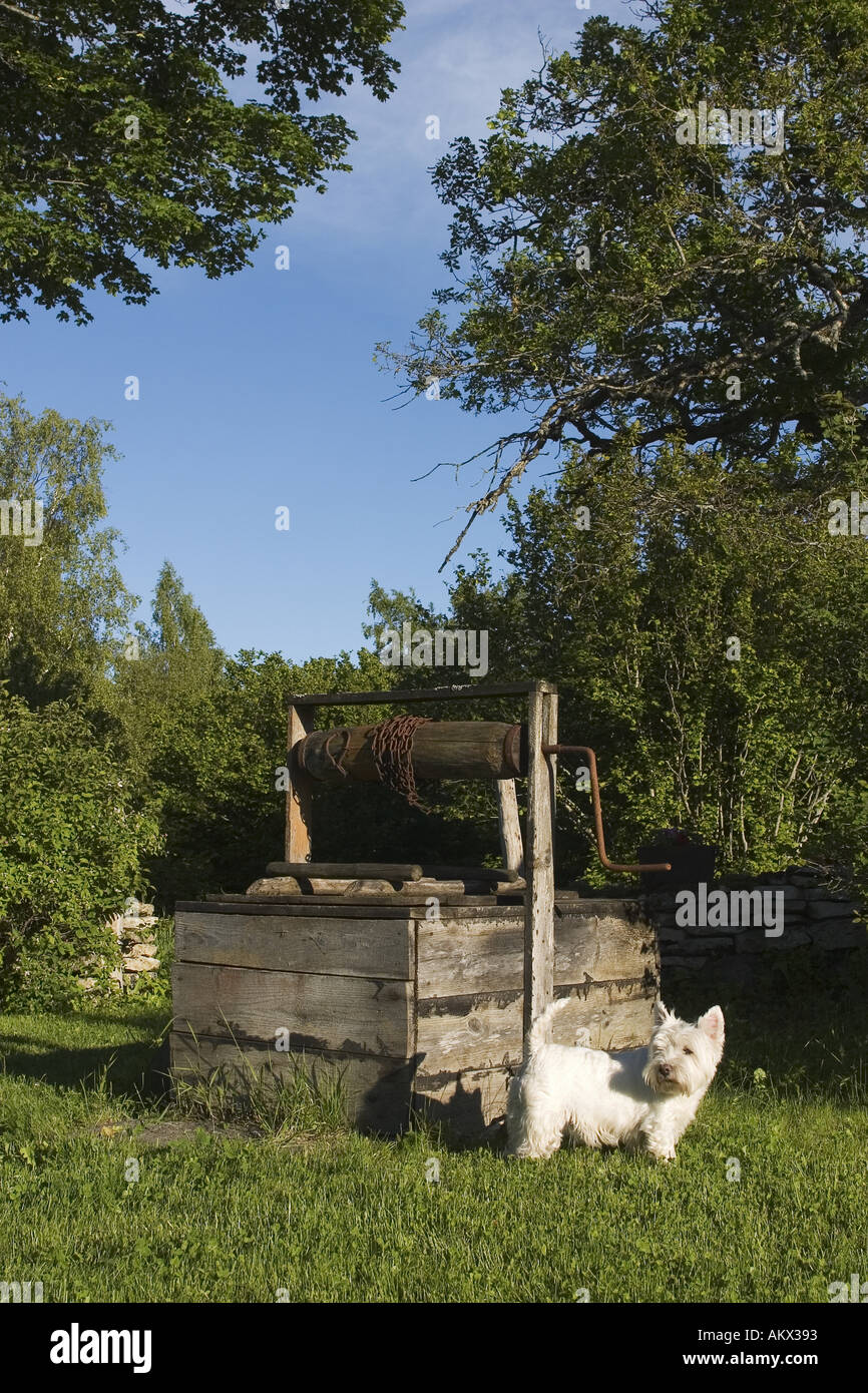 Well windlass hi-res stock photography and images - Alamy