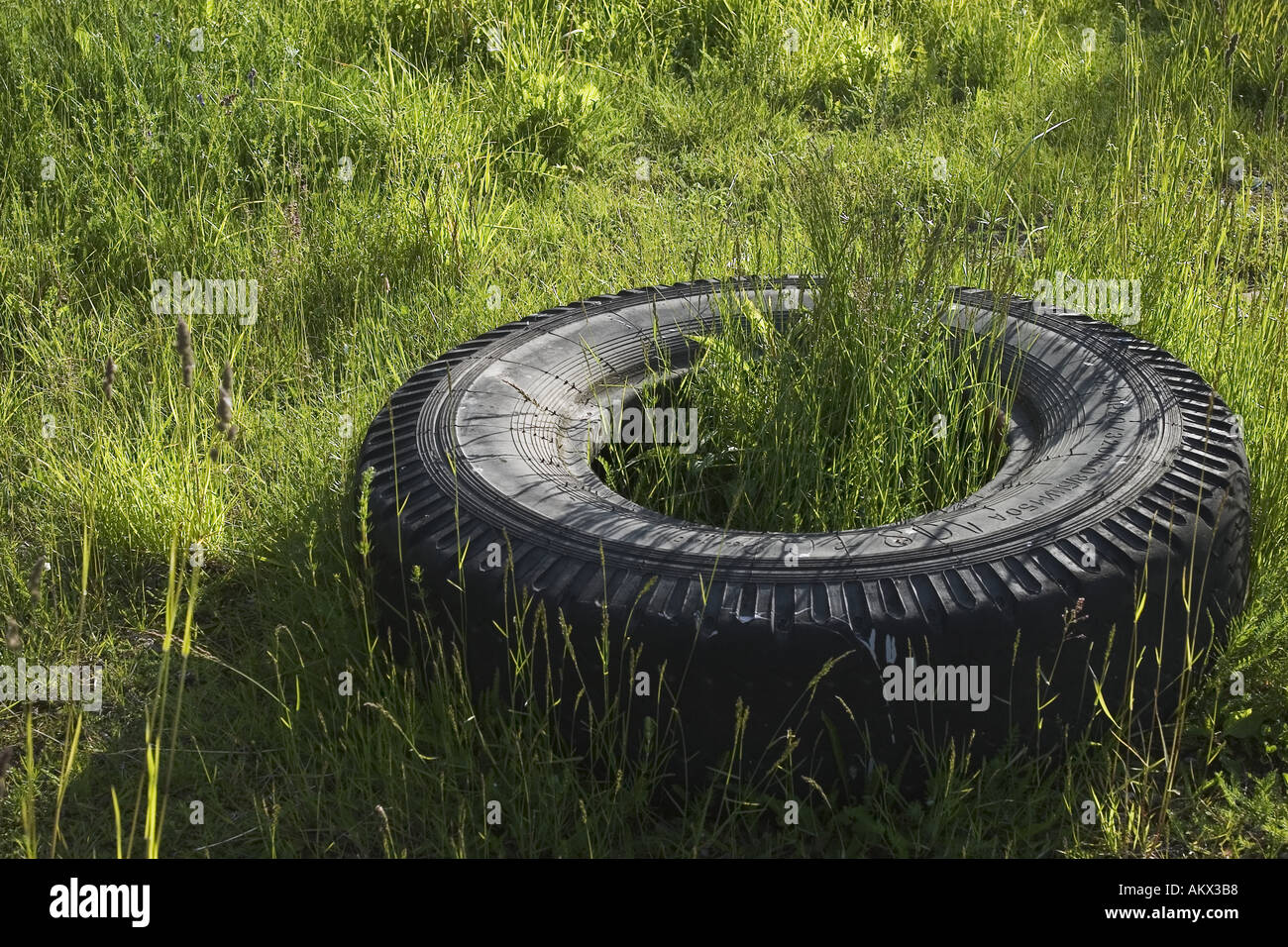 Notched Wheel High Resolution Stock Photography and Images - Alamy
