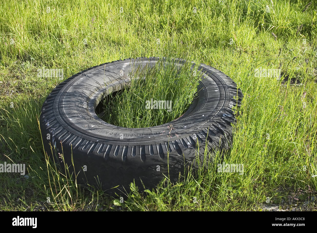 Notched wheel hi-res stock photography and images - Alamy