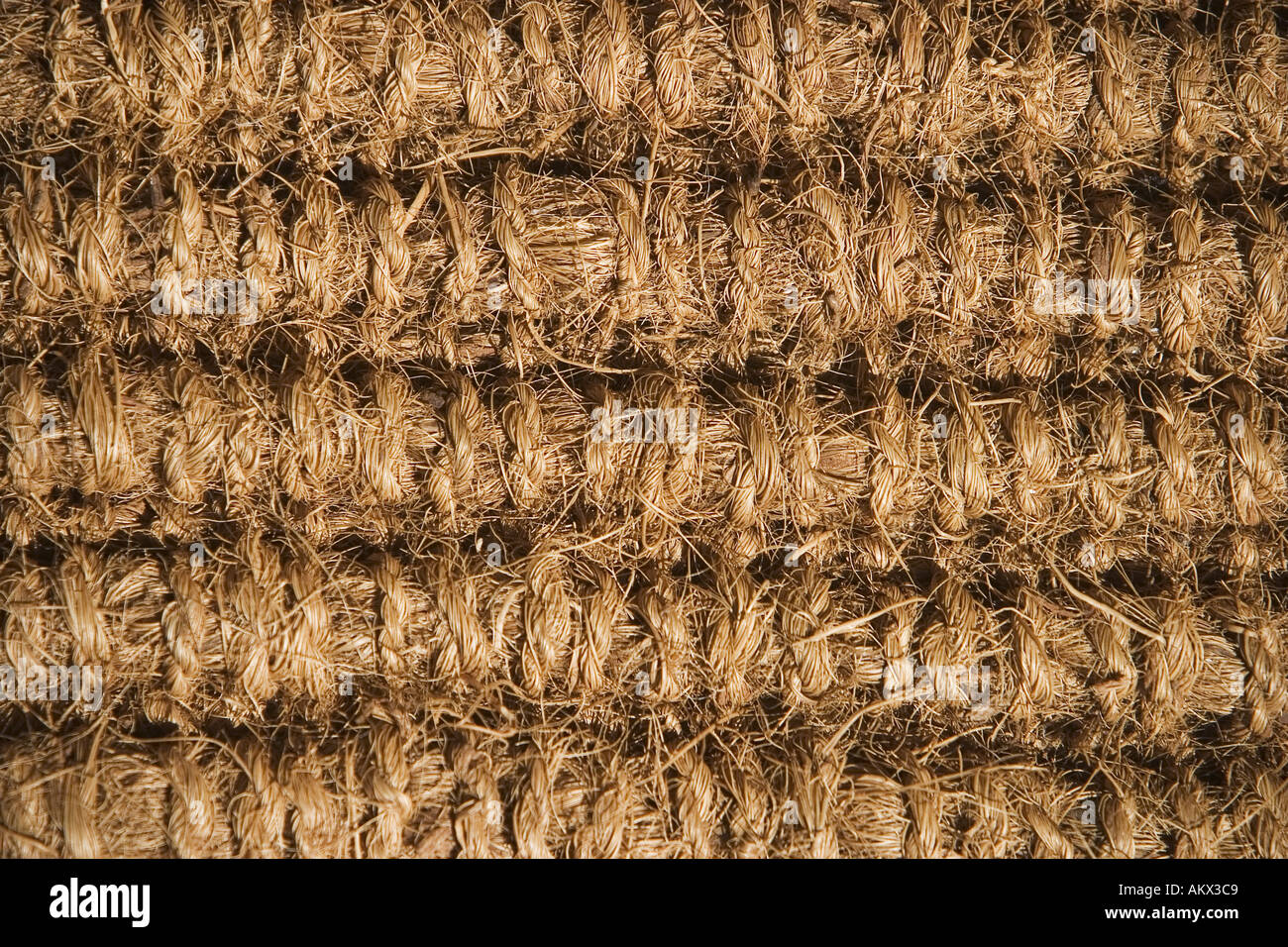 Disheveled appearance hi-res stock photography and images - Alamy