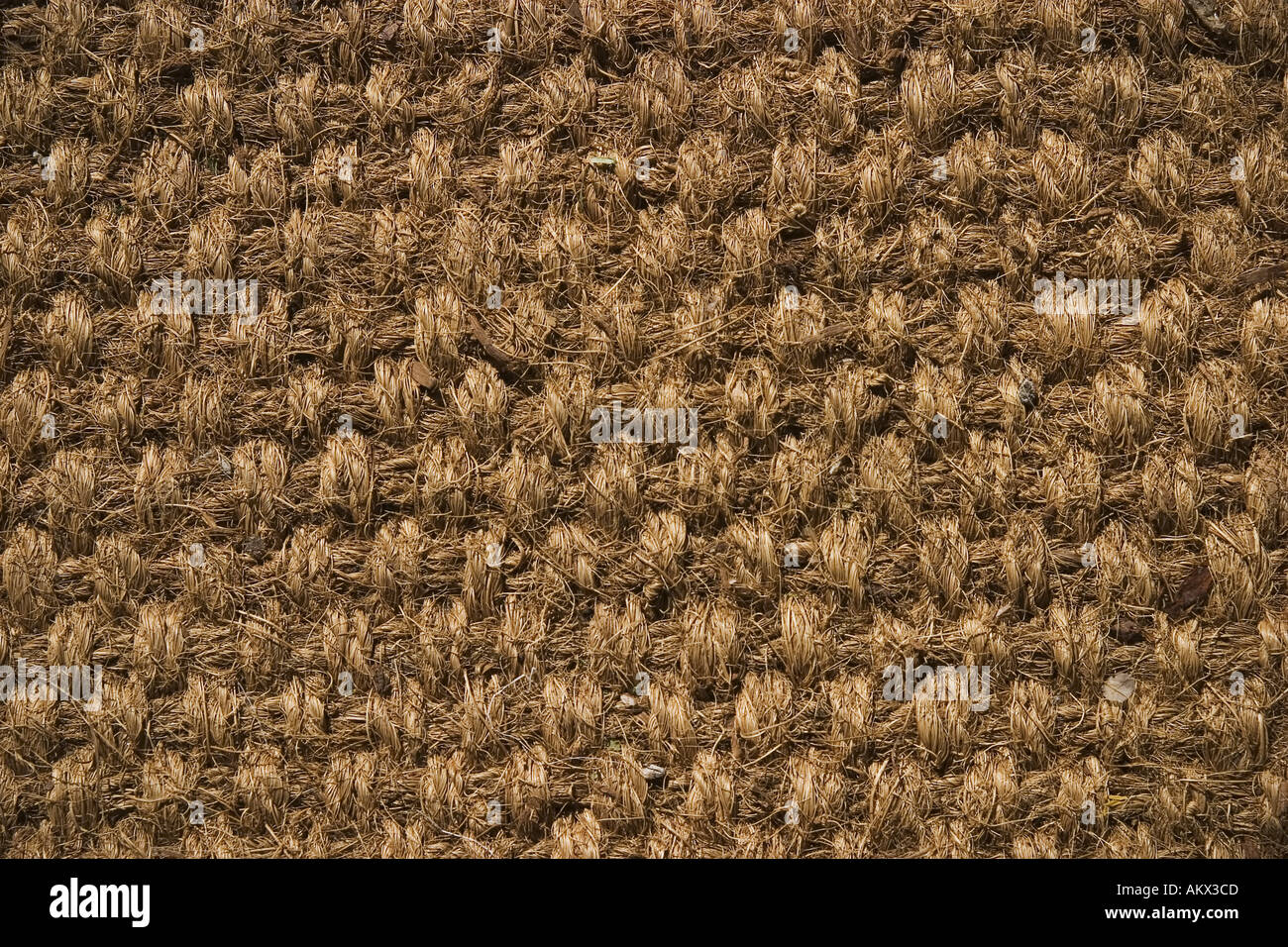 Disheveled appearance hi-res stock photography and images - Alamy