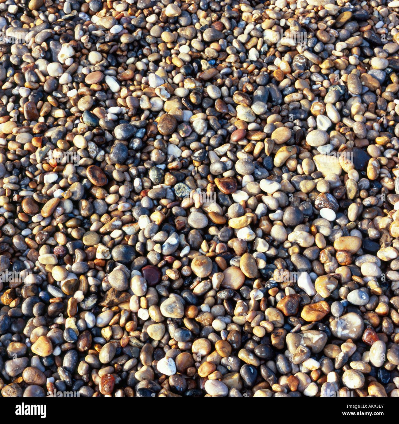 Pebbles on the beach at Ladram Bay, Devon, UK Stock Photo - Alamy