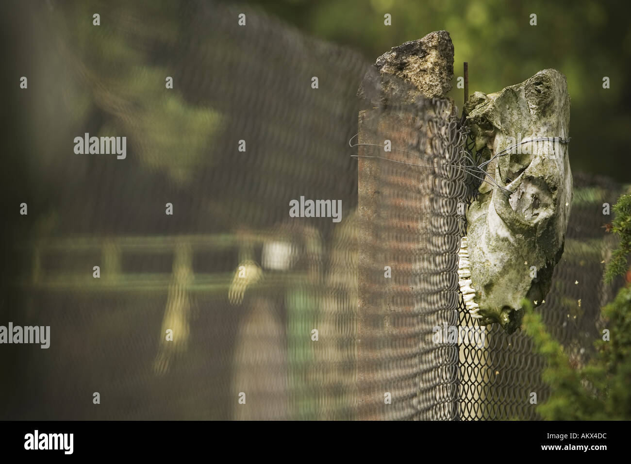Death looming hi-res stock photography and images - Alamy