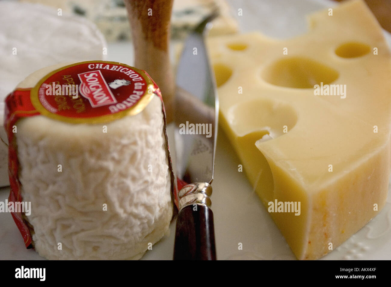 selection of cheeses Stock Photo - Alamy