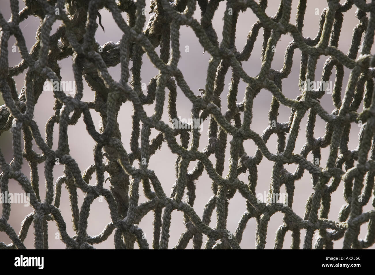 Entwined rope design hi-res stock photography and images - Alamy