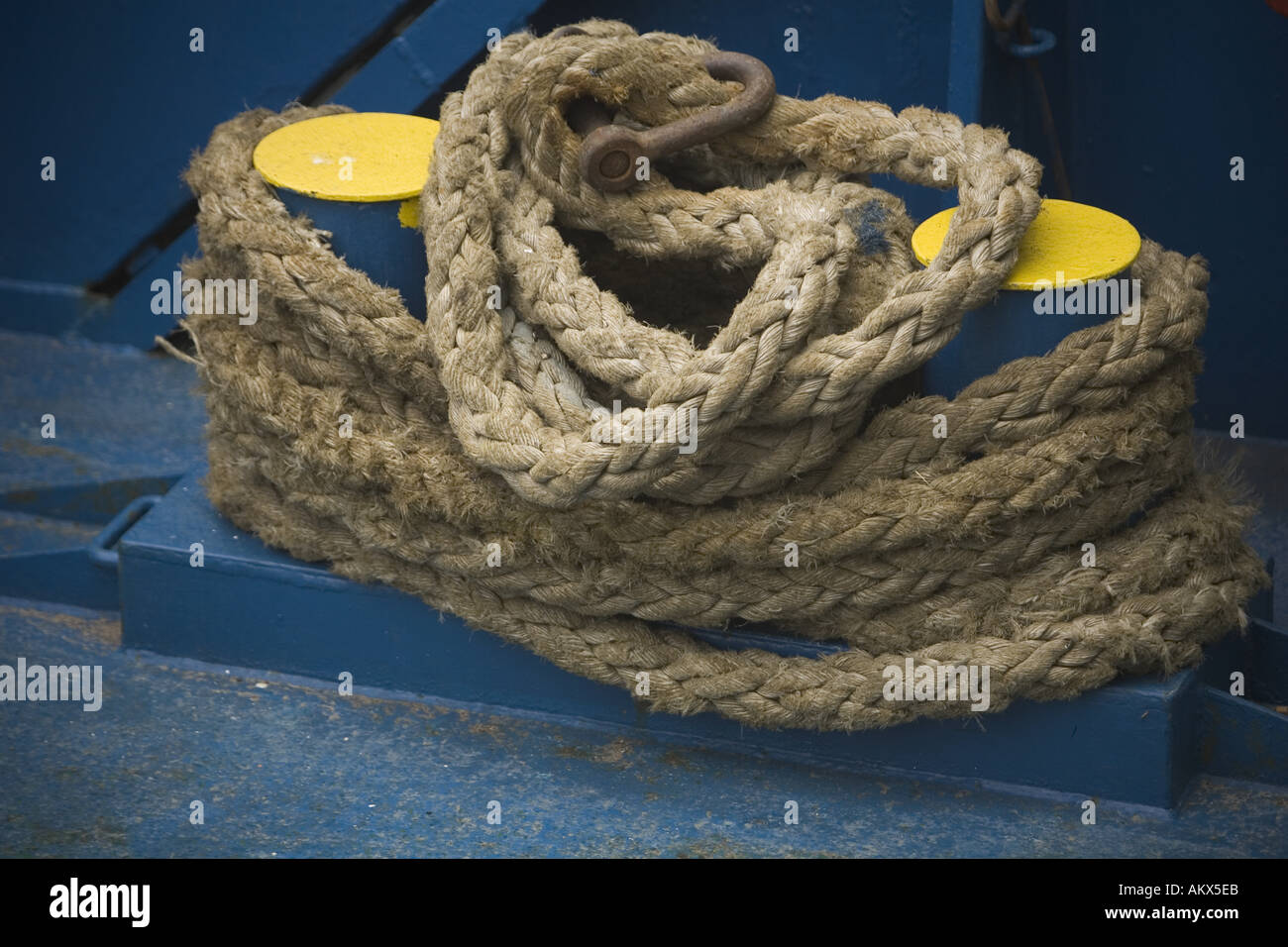 Curled shell form hi-res stock photography and images - Alamy