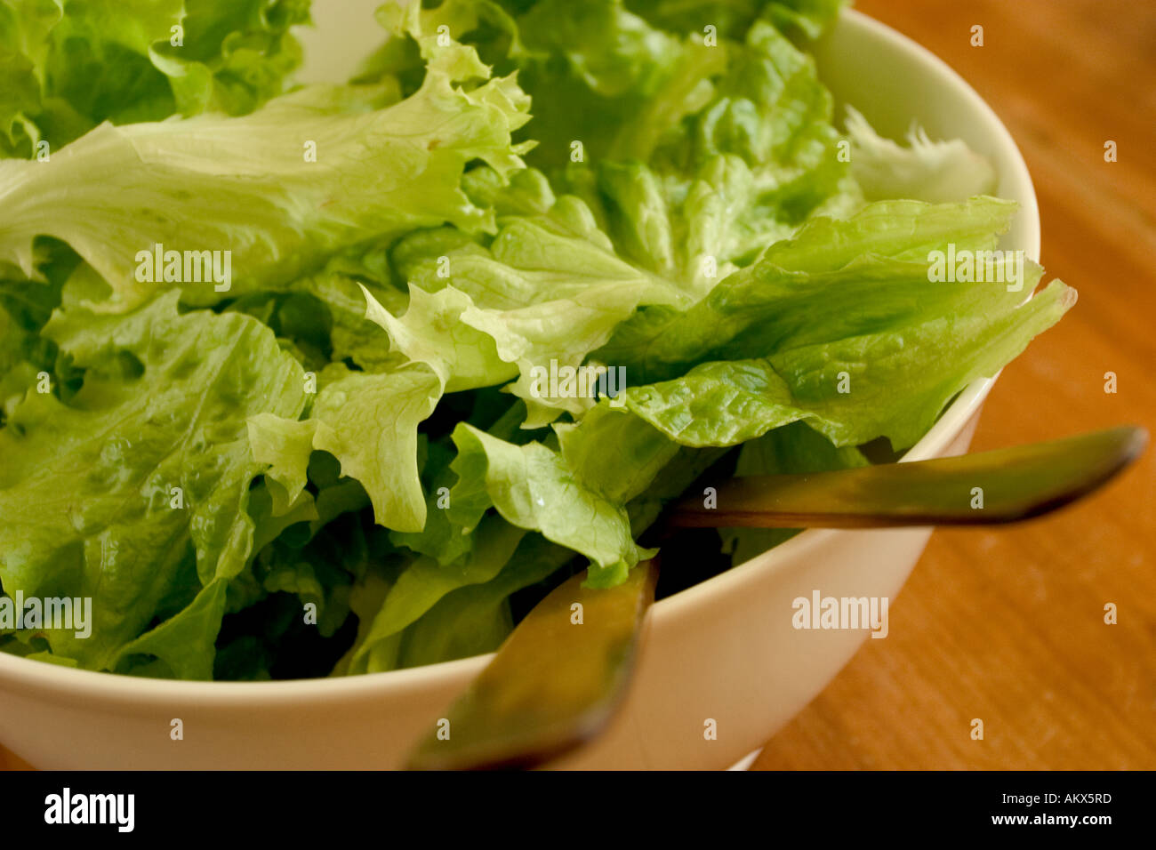 Lettuces on an allotment hi-res stock photography and images - Alamy