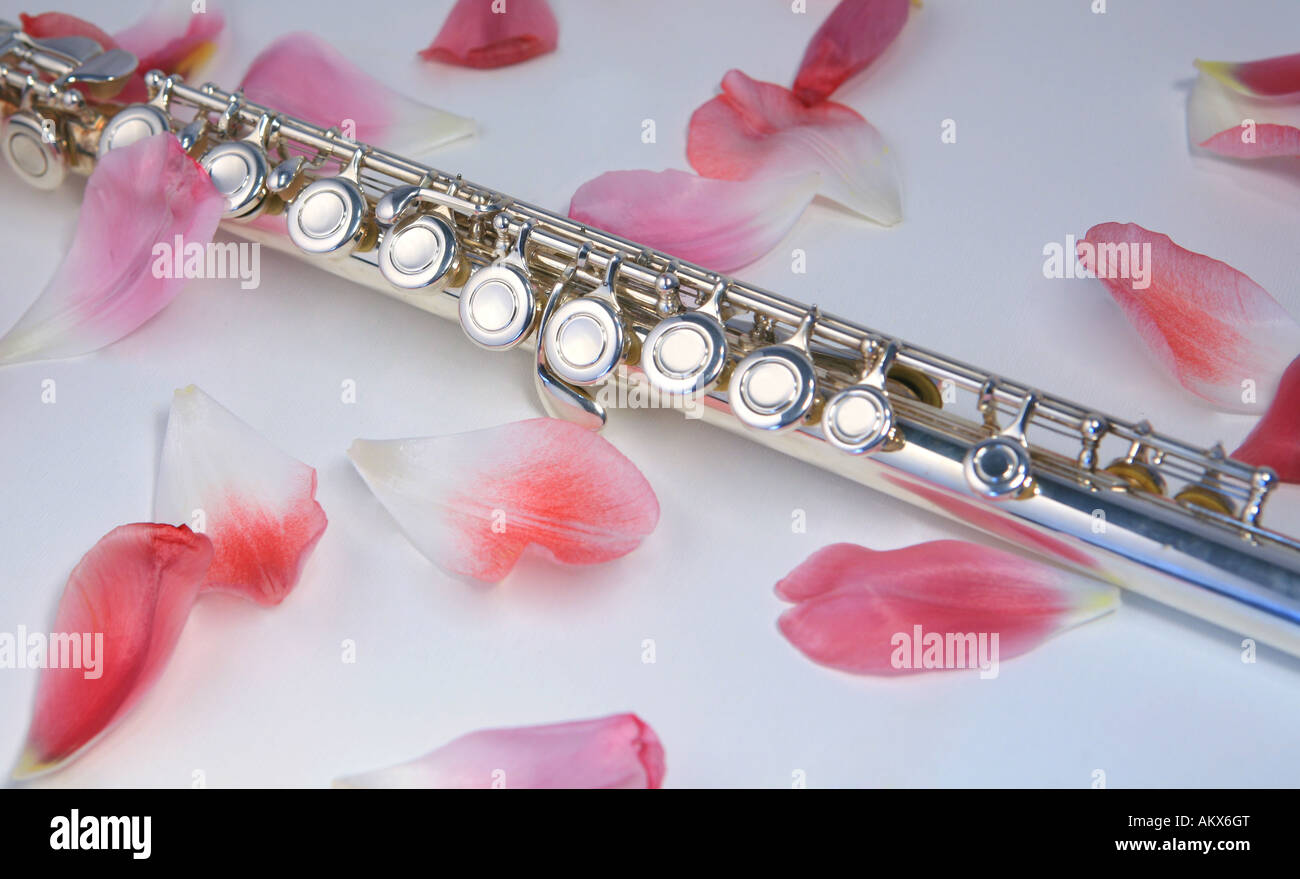 Silver flute with scattered flower petals Stock Photo - Alamy