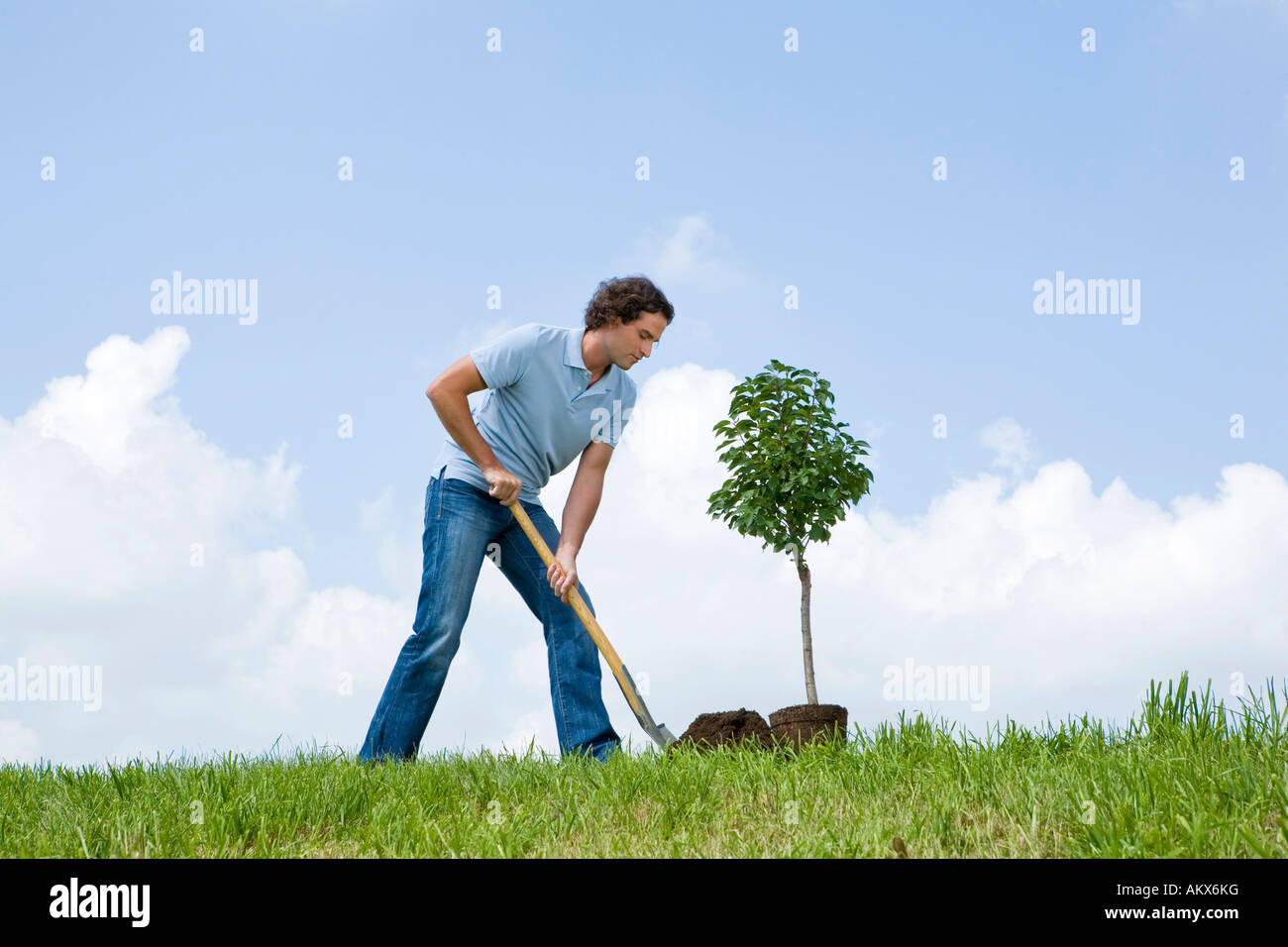 Man planting tree, close-up Stock Photo - Alamy