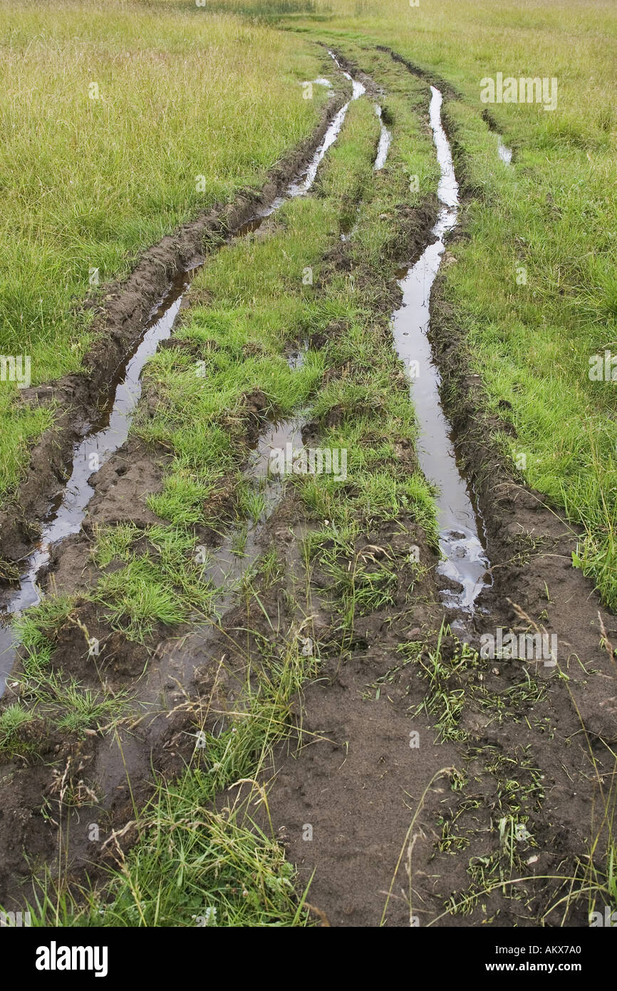 Field grass mud ditch hi-res stock photography and images - Alamy