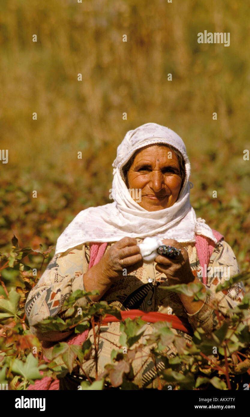 Asia, Middle East, Turkey. Kurdish cotton picker Stock Photo - Alamy