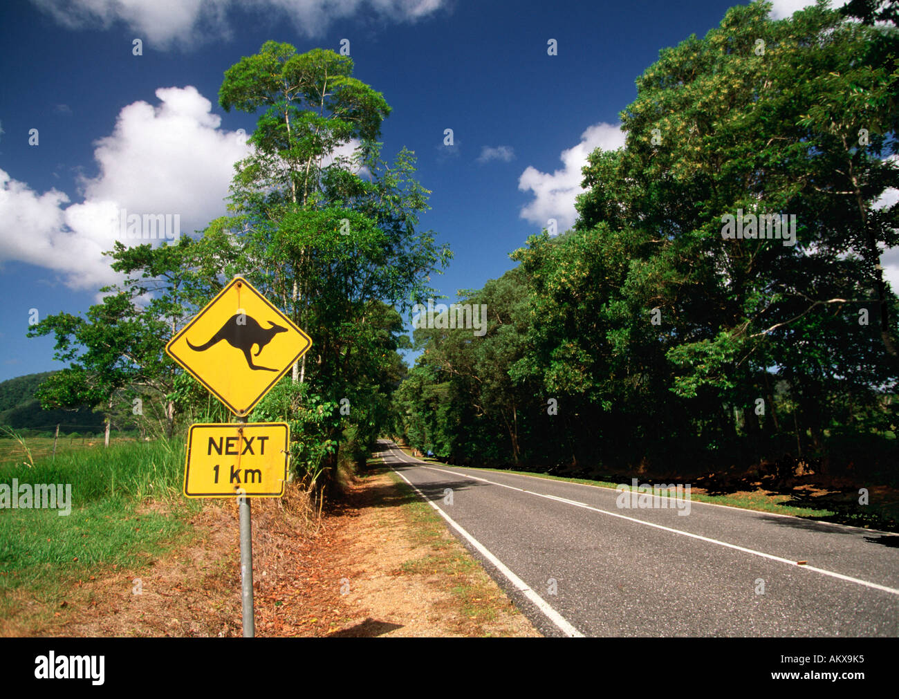 Typical australian highway with kangaroo crossing warning sign ...