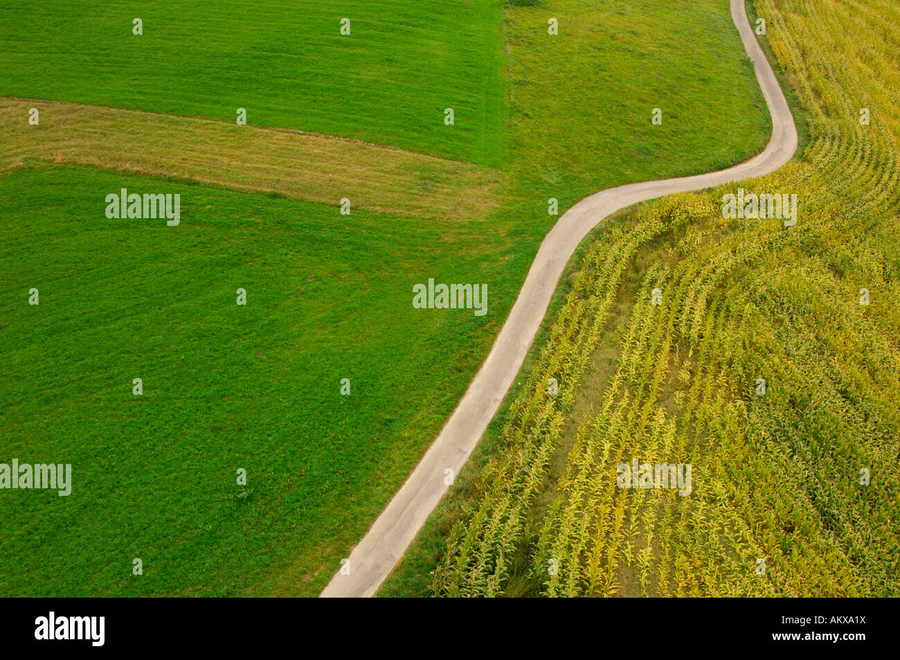 Germany, Field, aerial view Stock Photo - Alamy