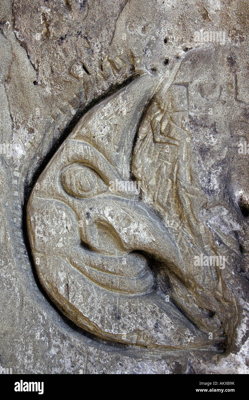 Petroglyphs in the Molasse rocks at the Ueberlinger steep coast, Lake ...