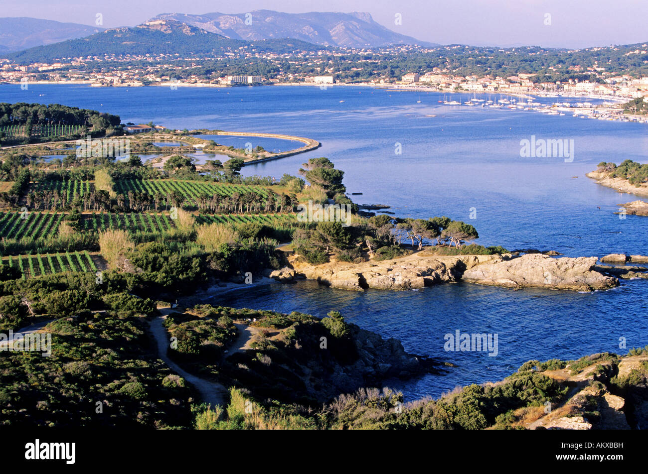 France, Var, Ile des Embiez, Le Brusc on right in the background Stock ...