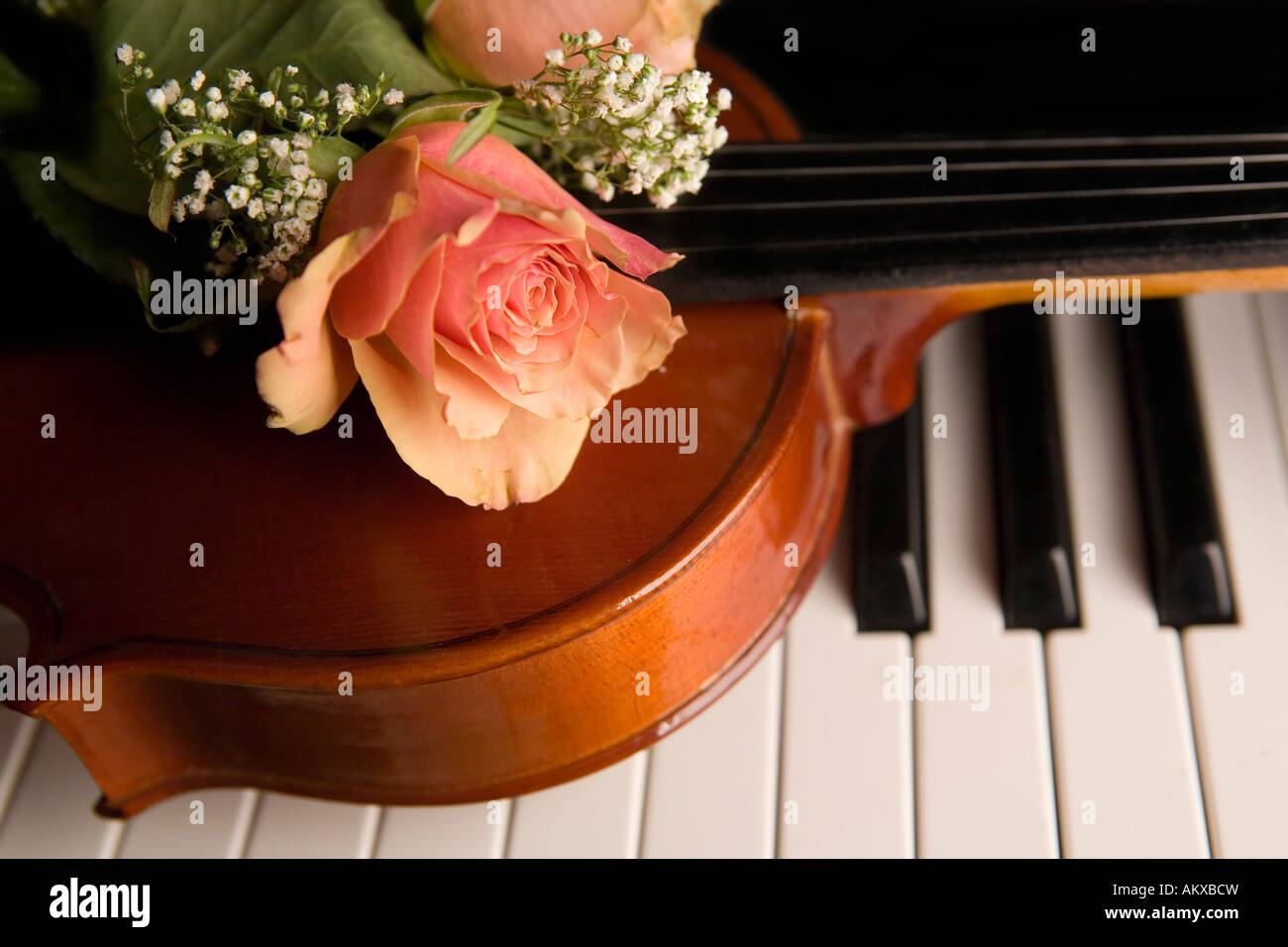 Peach roses on violin on piano keyboard Stock Photo - Alamy