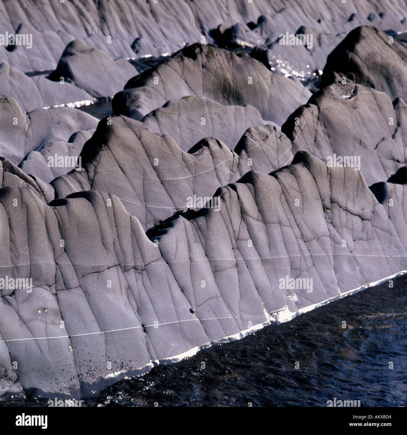 Linear rock formation of undulating spine ridges on tidal foreshore ...
