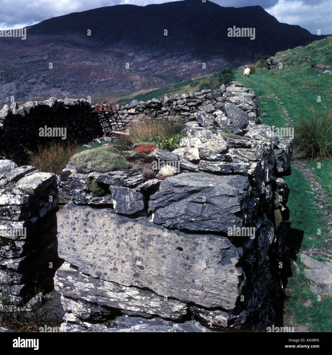 Nantcol hi-res stock photography and images - Alamy