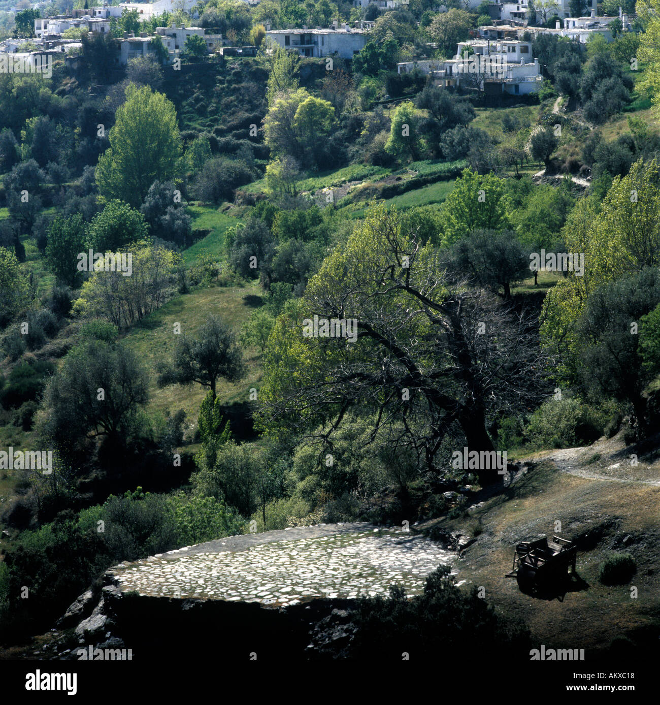 Threshing Floor and village fields and trees before Ferreirola ...