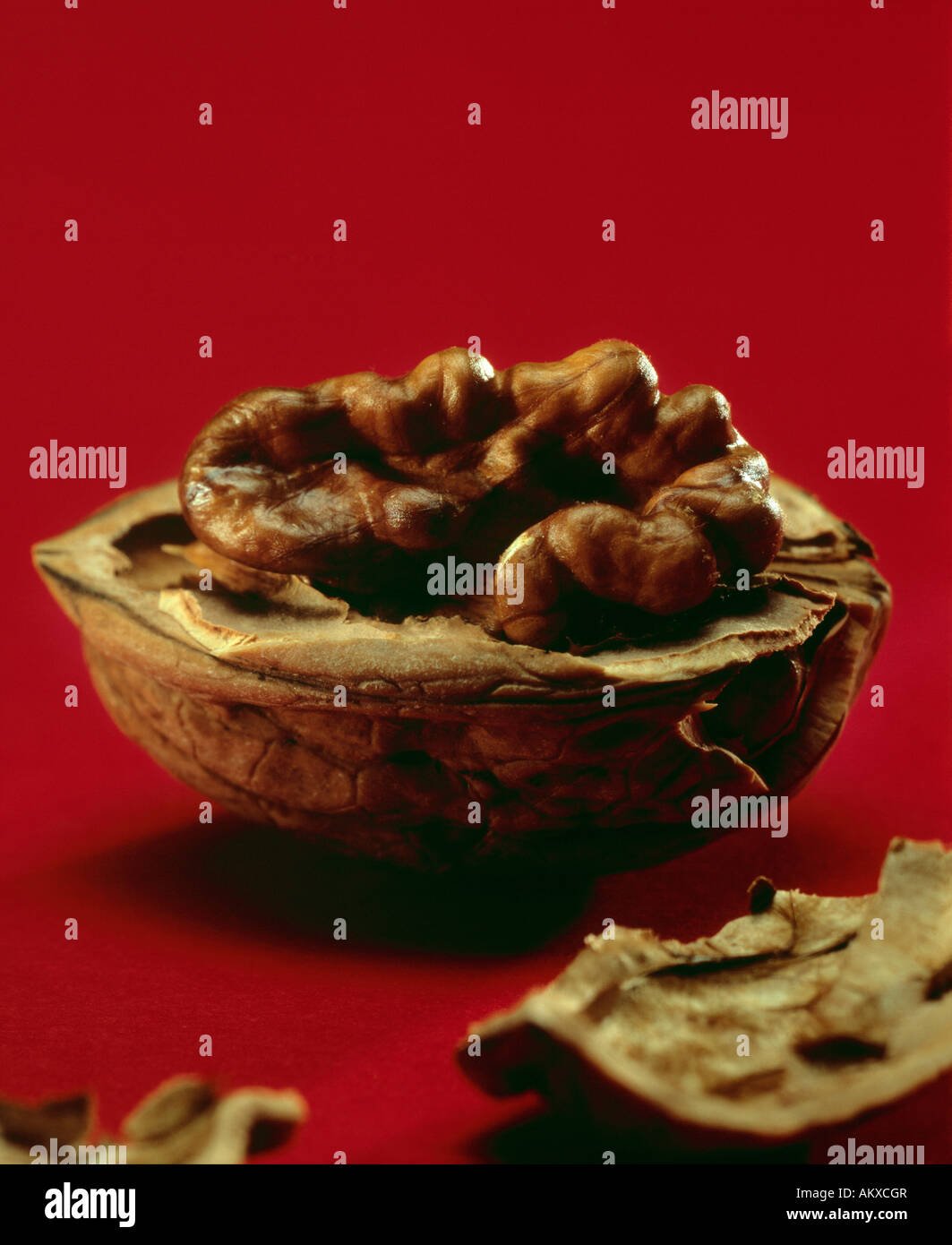 Half of walnut hi-res stock photography and images - Alamy
