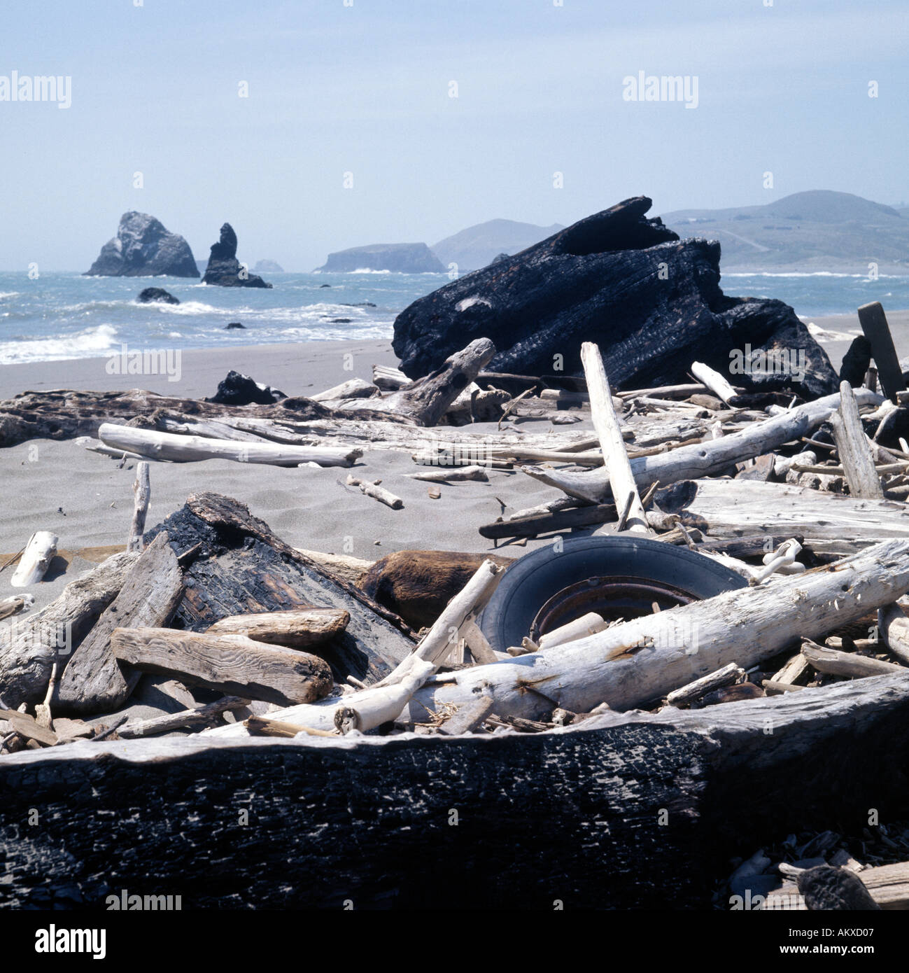 Pacific Ocean driftwood on sand beach with rockstacks and ocean Jenner ...