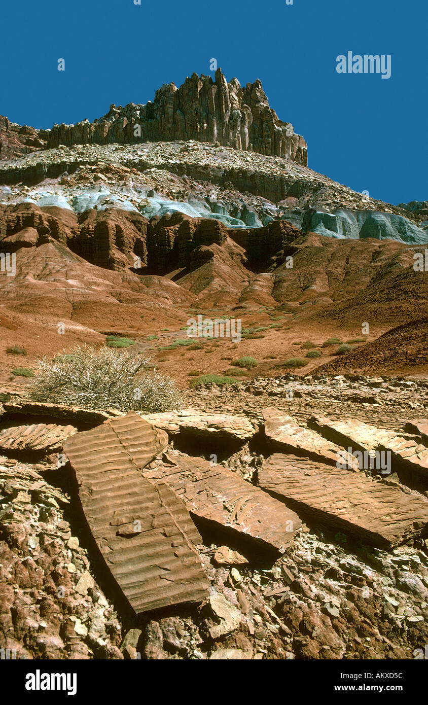 Capitol Reef Nat Pk Utah Showing Fossilized Ocean Floor Stock Photo - Alamy