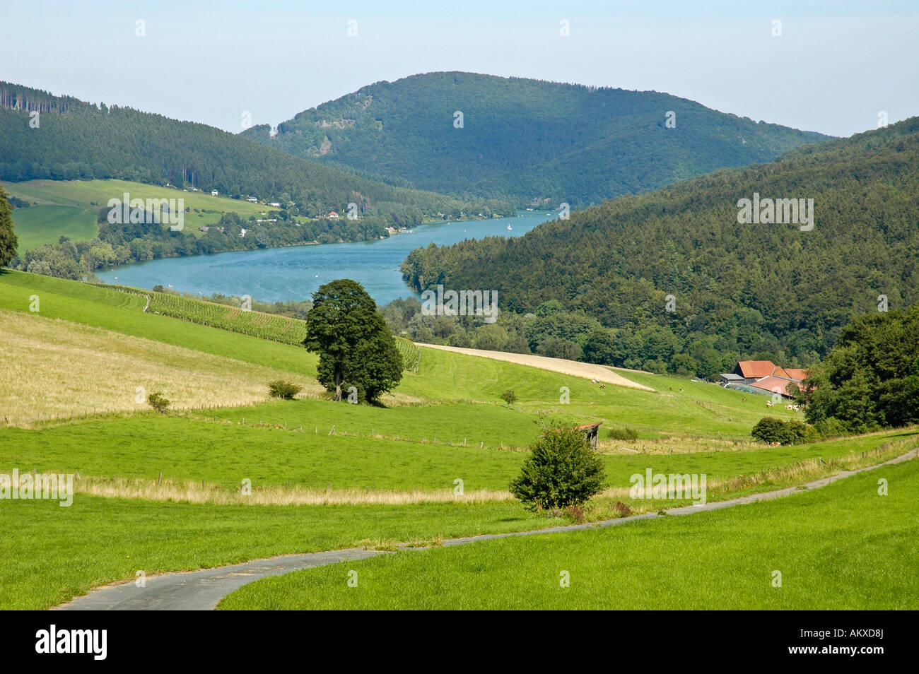 Natural Preserve, Diemelsee, lake, Brilon, Marsberg, North Rhine ...