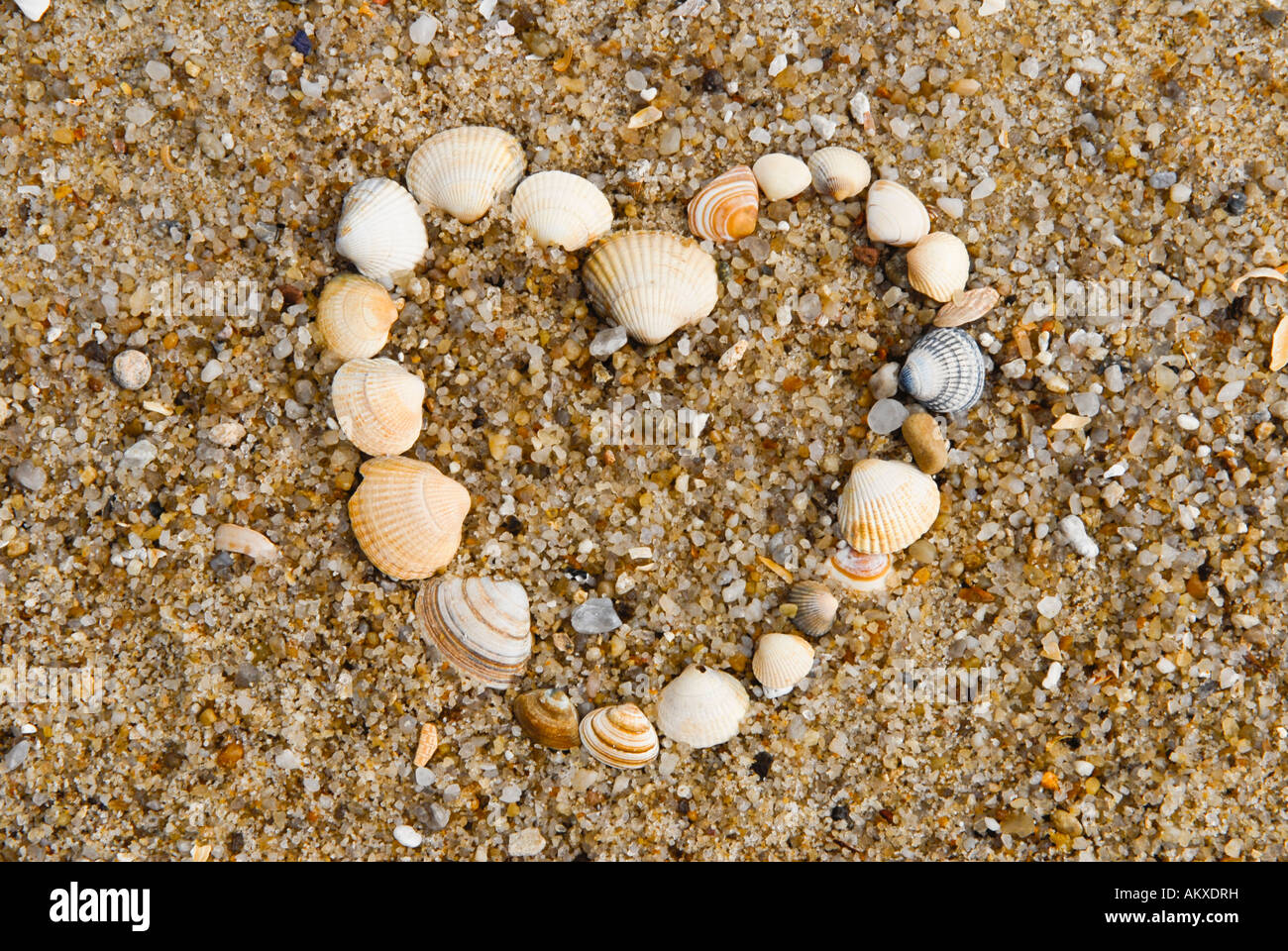 Heart made of shells in the sand Stock Photo - Alamy